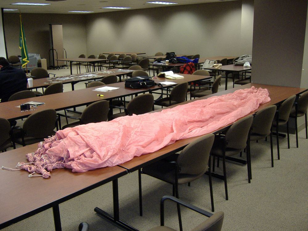 Pink Parachute Gallery